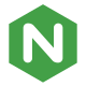 Nginx icon in Color Style
