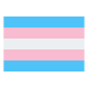 Transgender Flag icon in Color Style