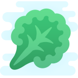 Kale icon in Cute Clipart Style
