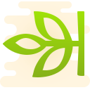 Ancestry Icons – Download for Free in PNG and SVG