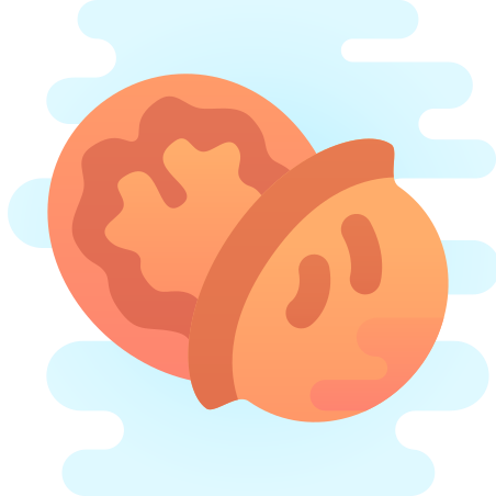 Nutshell icon in Cute Clipart Style