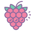 Raspberry icon in iOS Style