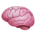 Brain Emoji icon in Emoji Style