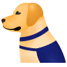 Dog Icons – Download for Free in PNG and SVG