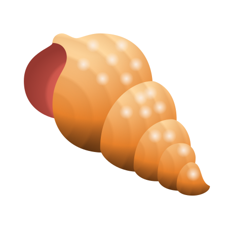 Spiral Shell icon in Emoji Style