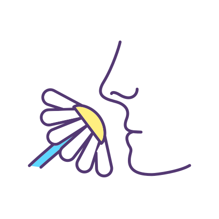 Sniffing Chamomile icon in Filled color icons Style