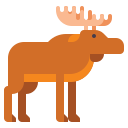 Moose Icons – Download for Free in PNG and SVG