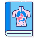 Matlab Icons – Download for Free in PNG and SVG