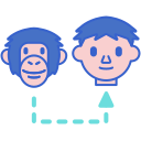 Evolution Icons – Download for Free in PNG and SVG