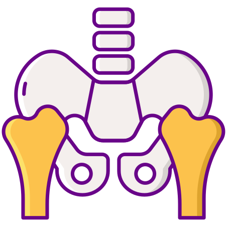 Hips icon in Flaticons Lineal Color Style