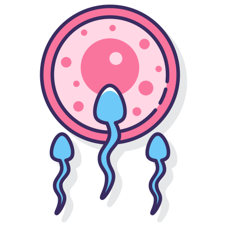 Reproductive System icon in Flaticons Lineal Color Style