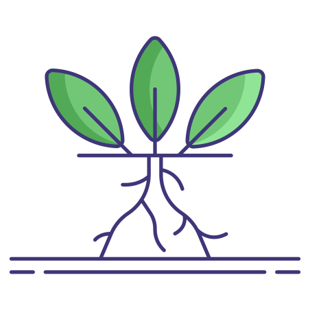 Root icon in Flaticons Lineal Color Style