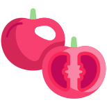 Tomato icon in Goofy Flat Style