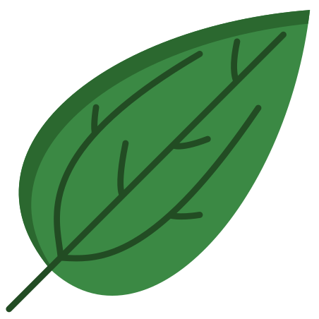 Camphor Leaf icon in Icongeek26 Flat Style