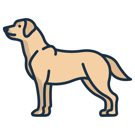 Labrador Retriever icon in Icongeek26 Linear Colour Style
