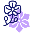 Orcid Icons – Download for Free in PNG and SVG