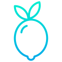 Lemon Icons – Free Vector Download, PNG, SVG, GIF
