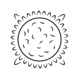 Center Icons – Download for Free in PNG and SVG