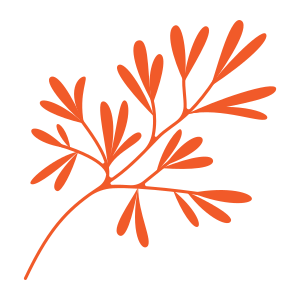 Branch Icons – Download for Free in PNG and SVG