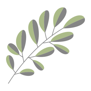 Branch Icons – Download for Free in PNG and SVG