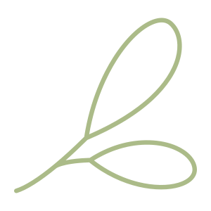 Branch Icons – Download for Free in PNG and SVG