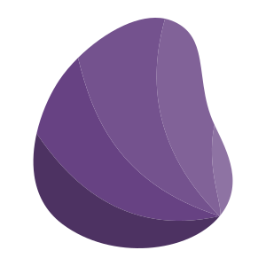 Shell Icons – Download for Free in PNG and SVG