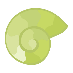 Shell Icons – Download for Free in PNG and SVG
