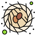 Nestjs Icons – Download for Free in PNG and SVG