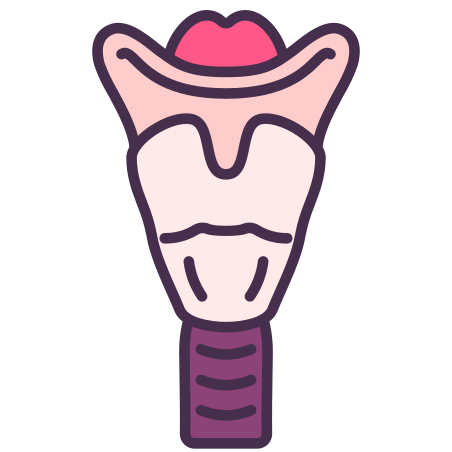 Larynx icon in Victoruler Linear Colour Style