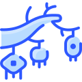 Branch Icons – Free Vector Download, PNG, SVG, GIF