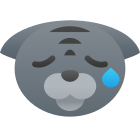 Sad Cat icon in Windows 11 Color Style