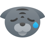 Sad Cat icon in Windows 11 Color Style