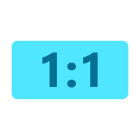 Original Size icon in Windows 11 Color Style