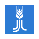 Ifad icon in Windows 11 Color Style