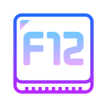 F12 Key icon in Gradient Line Style