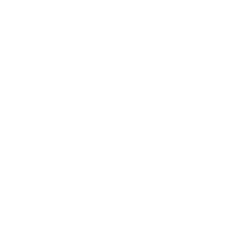 Badlion Icon im Gradient Line Stil