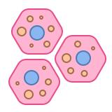 Body cells Icons – Download for Free in PNG and SVG