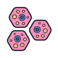 Body cells Icons – Download for Free in PNG and SVG