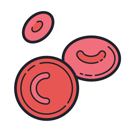 Erythrocytes icon in Color Hand Drawn Style