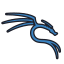 Kali Linux icon in Color Hand Drawn Style