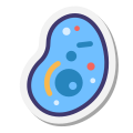Cell nucleus Icons – Download for Free in PNG and SVG