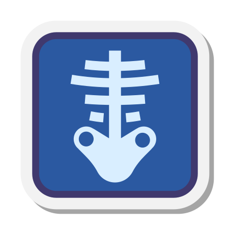 X-ray icon in Stickers Style