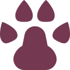 Dog Paw icon in Tiny Color Style