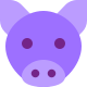 Swine icon in Tiny Color Style